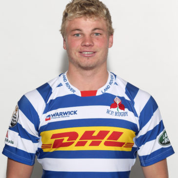 WP Rugby | DHL Western Province 2018 Squad