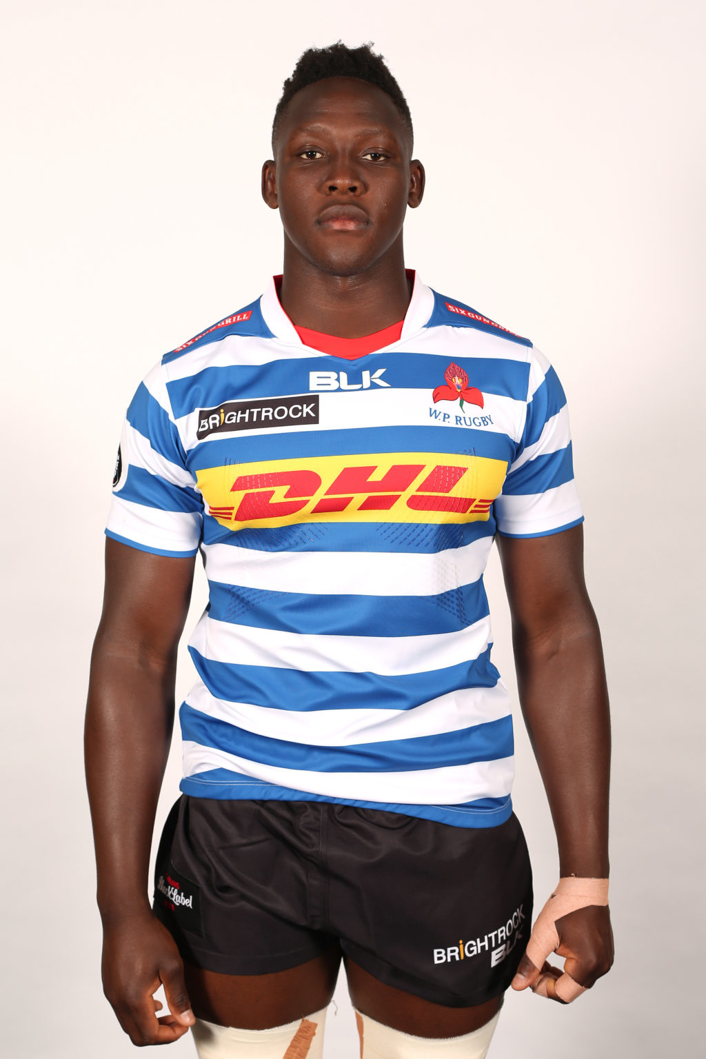 WP Rugby | DHL Western Province 2020 Squad