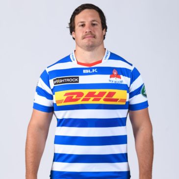 WP Rugby | DHL Western Province 2019 Squad