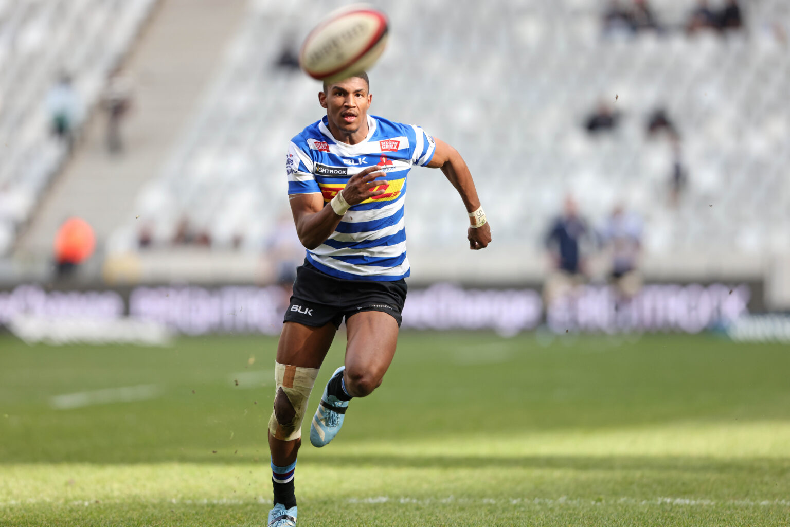 WP Rugby | Eight Junior Bok champs in DHL WP squad